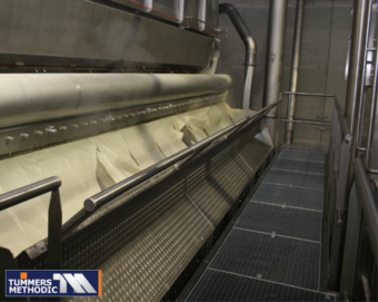 Flake line – Tummers