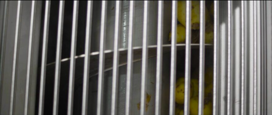 Peeling line – Tummers