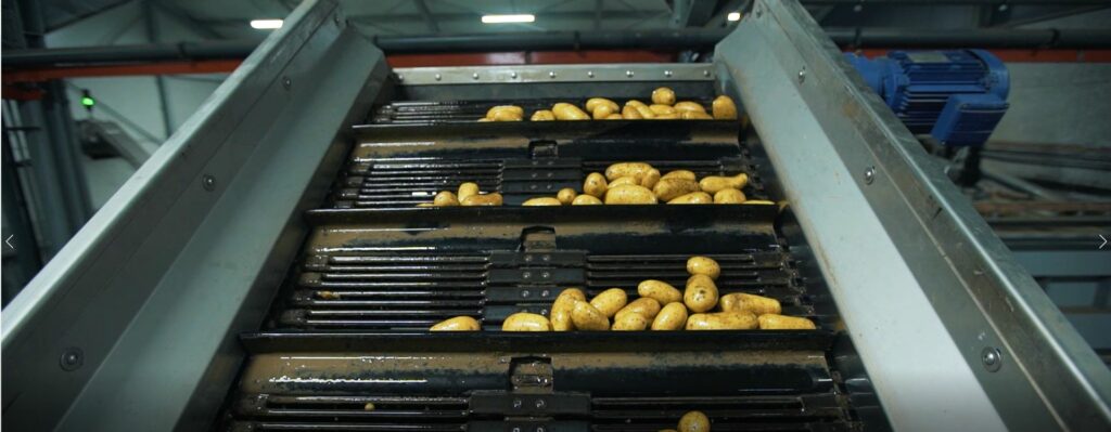 Peeling line – Tummers