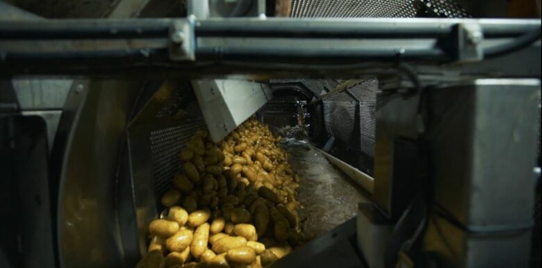 Washing line – Tummers