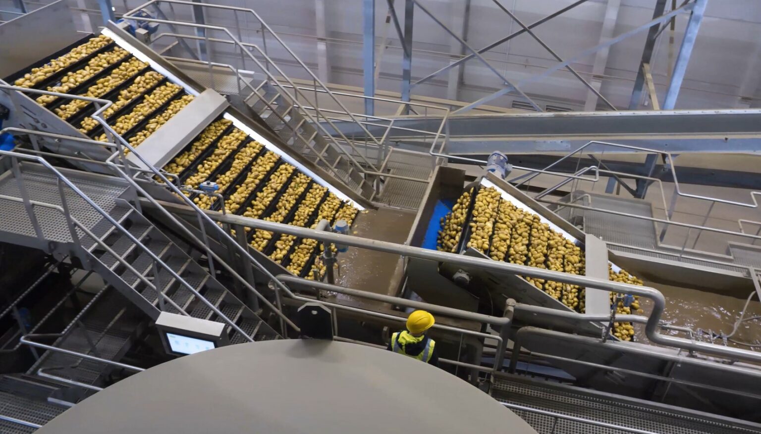 French fry line – Tummers