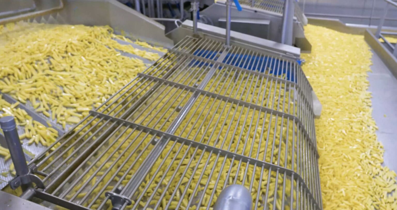 French fry line – Tummers