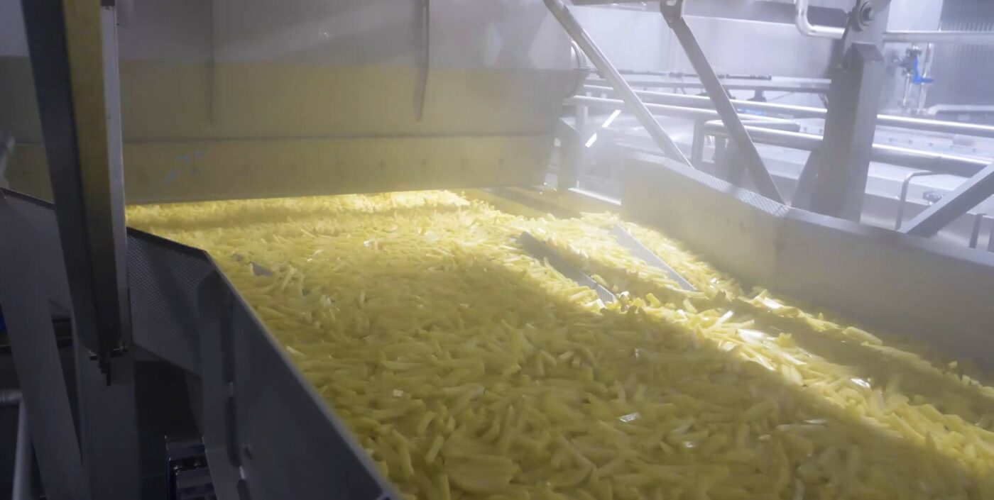 French fry line – Tummers