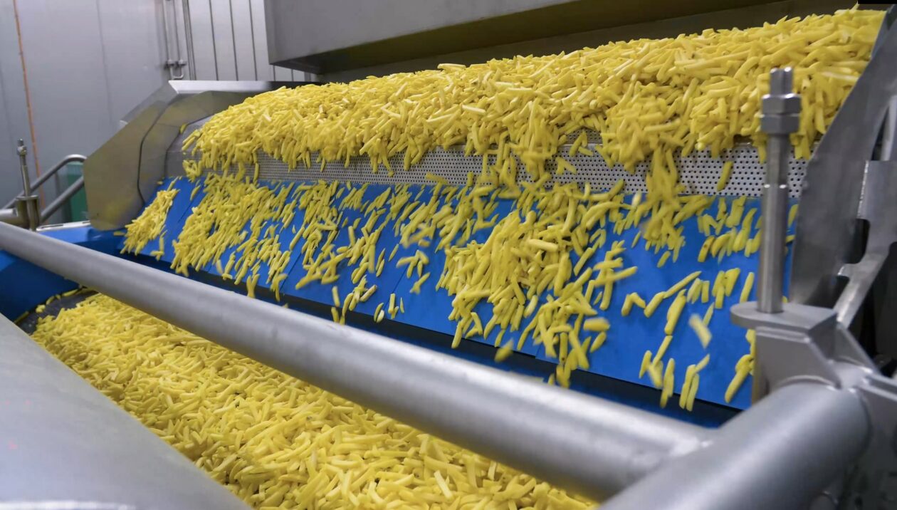 French fry line – Tummers