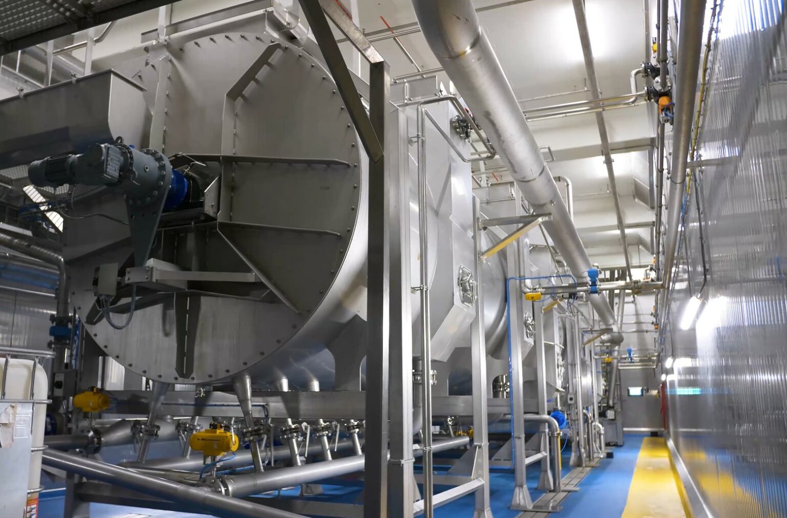 French fry line – Tummers